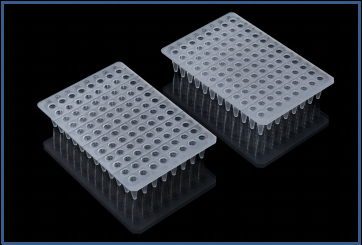 PCR 96-Well Plates2.png
