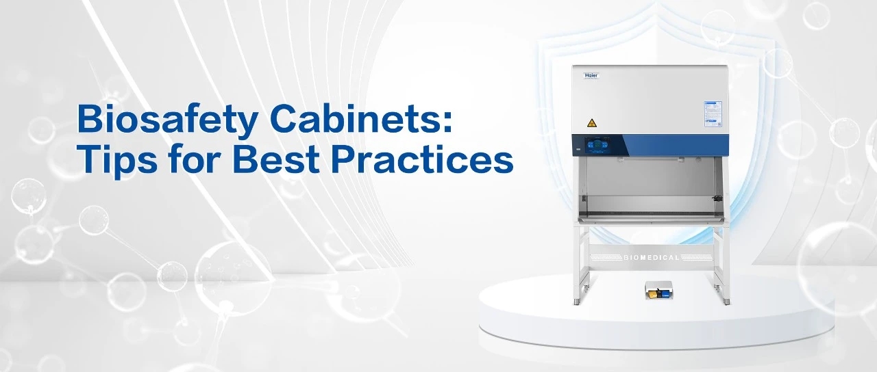 Haier Biomedical News